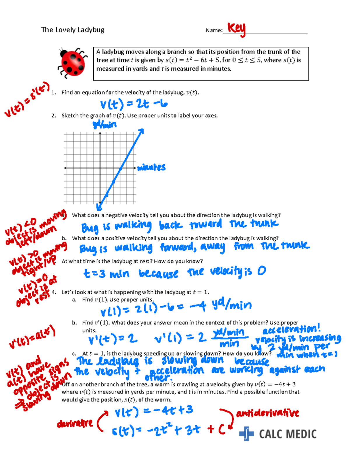 4 - stats - The Lovely Ladybug Name:___________________________ 1. Find an equation for the ...