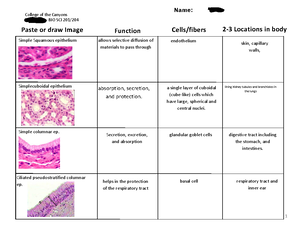 Nervous system histology lab worksheet - College of the Canyons BIO SCI ...