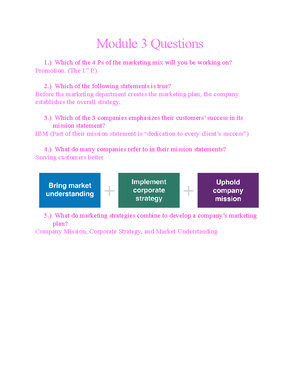 MKT205 Module Two Milestone - Module Two Milestone Worksheet: Target ...