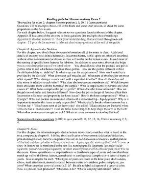 Chapter 26 Rep.System Worksheet Part one - The reproductive system is ...