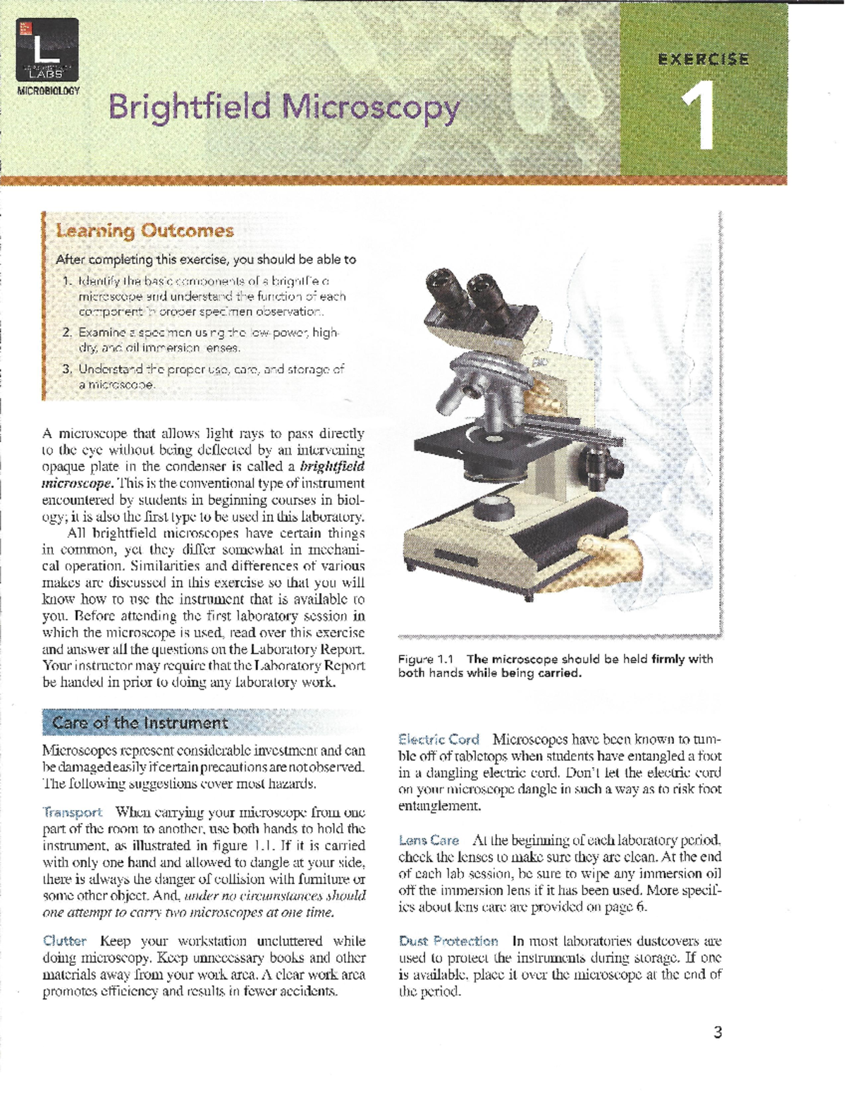 Brightfield Microscopy Lab - BIOL 225 - Studocu