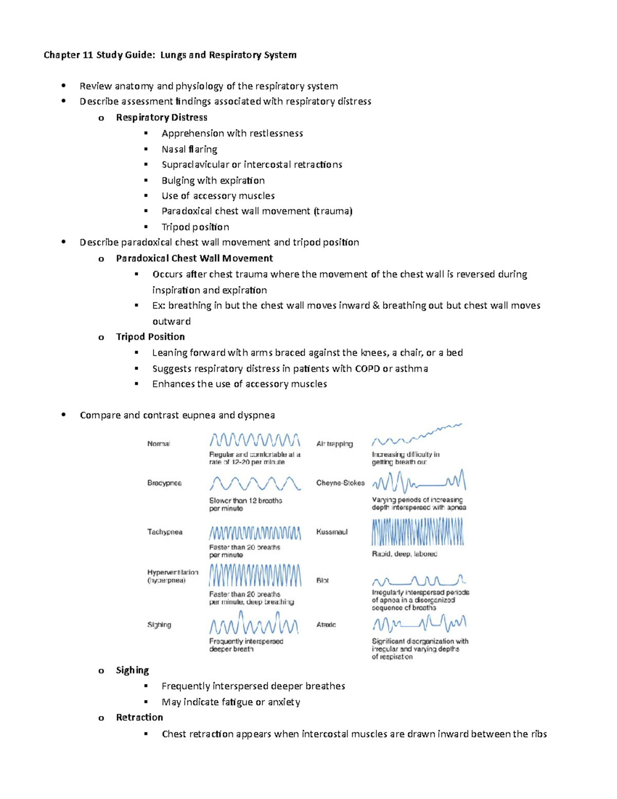 Chapter 11 Study Guide - Chapter 11 Study Guide: Lungs and Respiratory ...