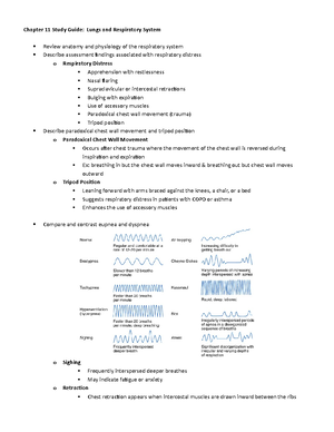 Chapter 4 Study Guide - Chapter 4 Study Guide: General Inspection and ...