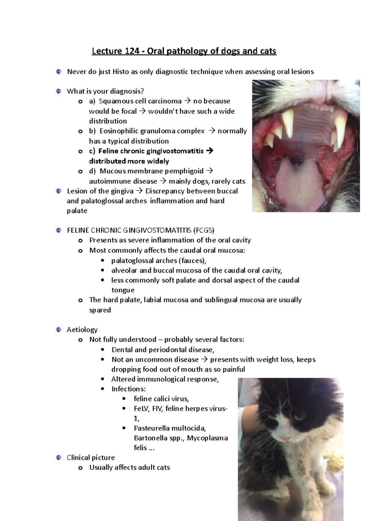 Lecture 124 - Oral pathology of dogs and cats. - , Mycoplasma felis ...