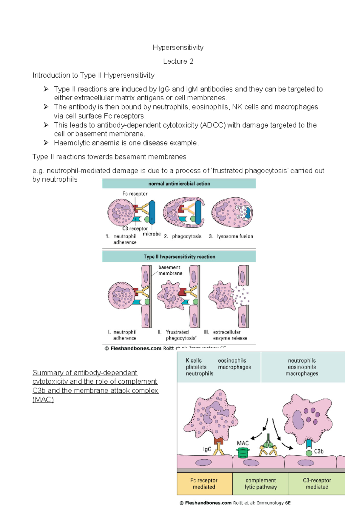 Hypersensitivity Lecture 2 - Advanced Immunology - BI622 - UKC - StuDocu