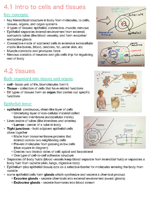 Module 7 Endocrine System - endocrine system releases hormones that ...