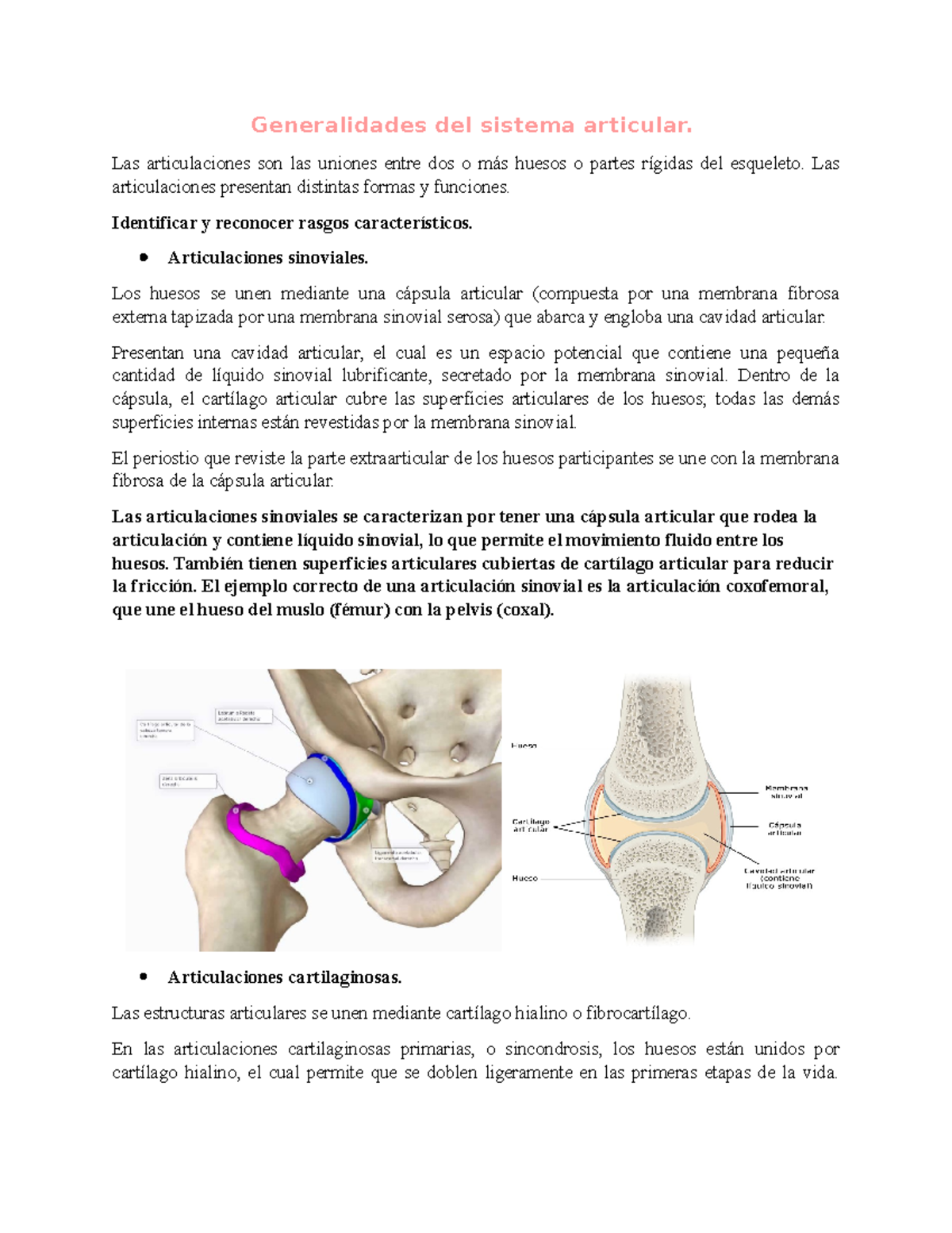 Guia 3 de anatomia - Anatomía - Generalidades del sistema articular. Las articulaciones son las ...