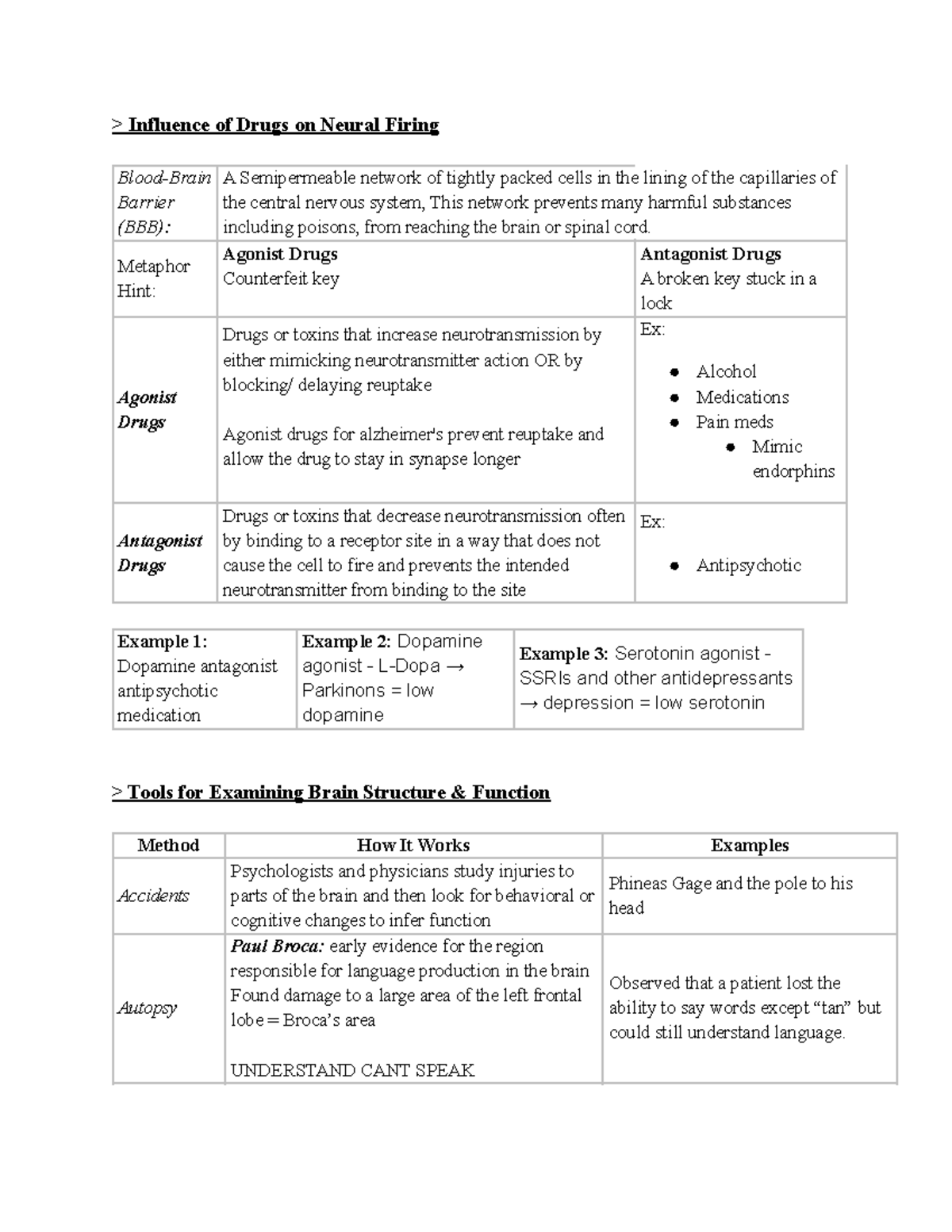 RELATIONSHIP BETWEEN DRUGS AND THE BRAIN* - > Influence of Drugs on ...