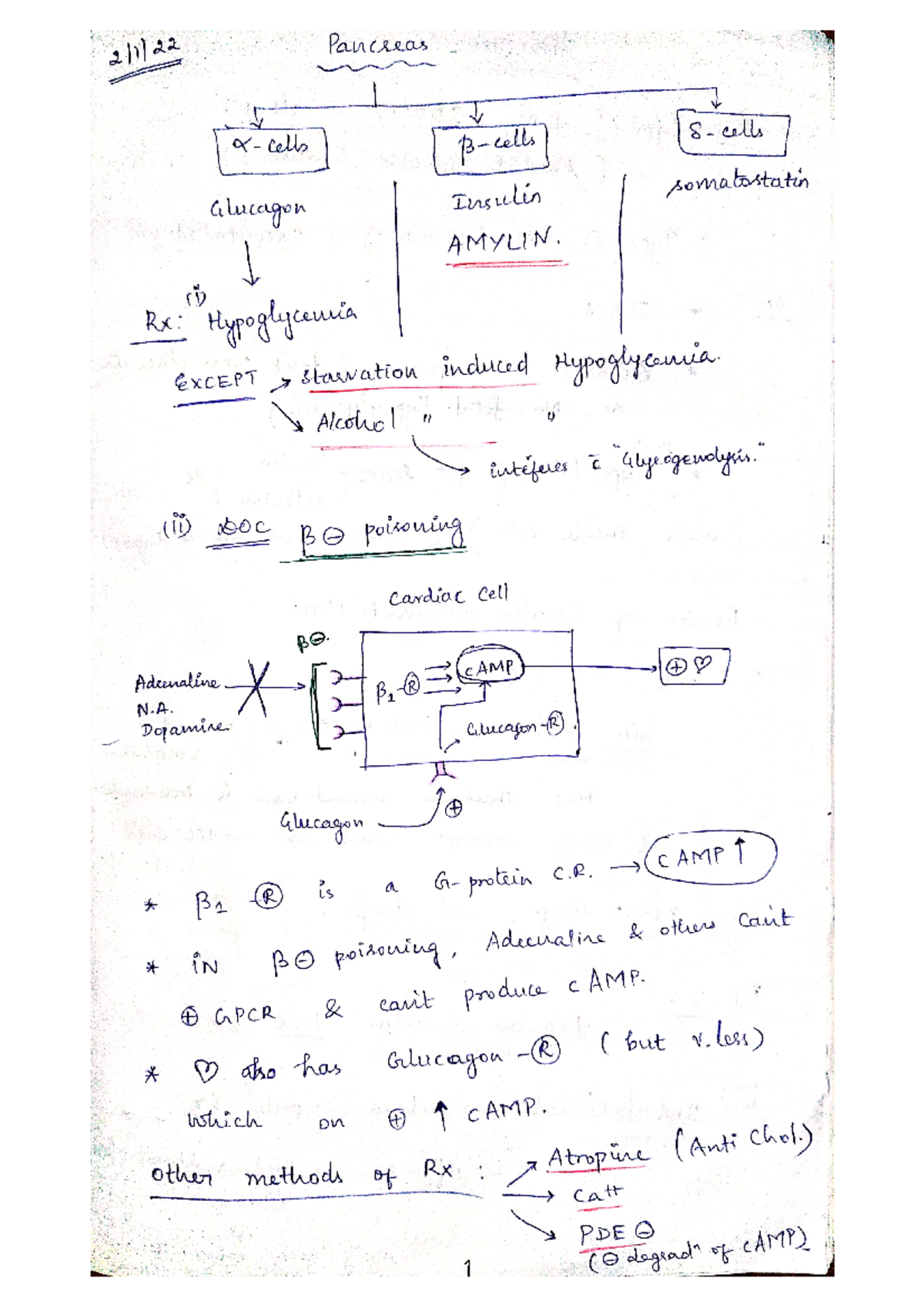 Anti diabetic drugs - Pharmacology, Pathology & Genetics - Studocu