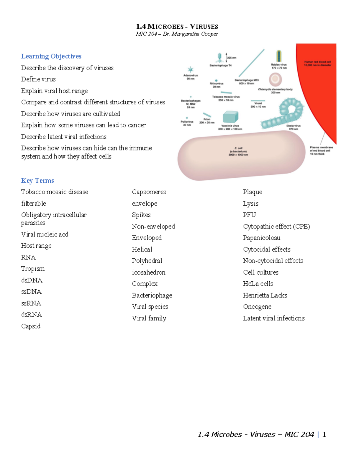 MIC 204- 1.4 Microbes Viruses - 1 MICROBES - VIRUSES MIC 204 – Dr ...