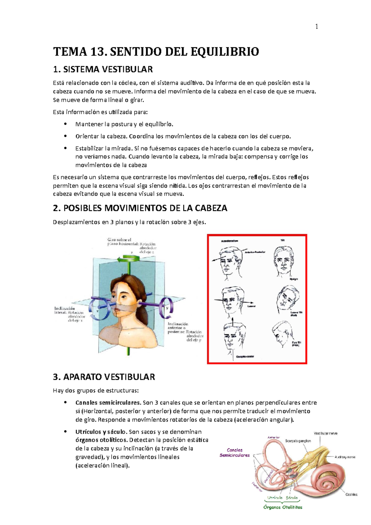 Tema 13. Sentido del equilibrio - TEMA 13. SENTIDO DEL EQUILIBRIO 1 ...