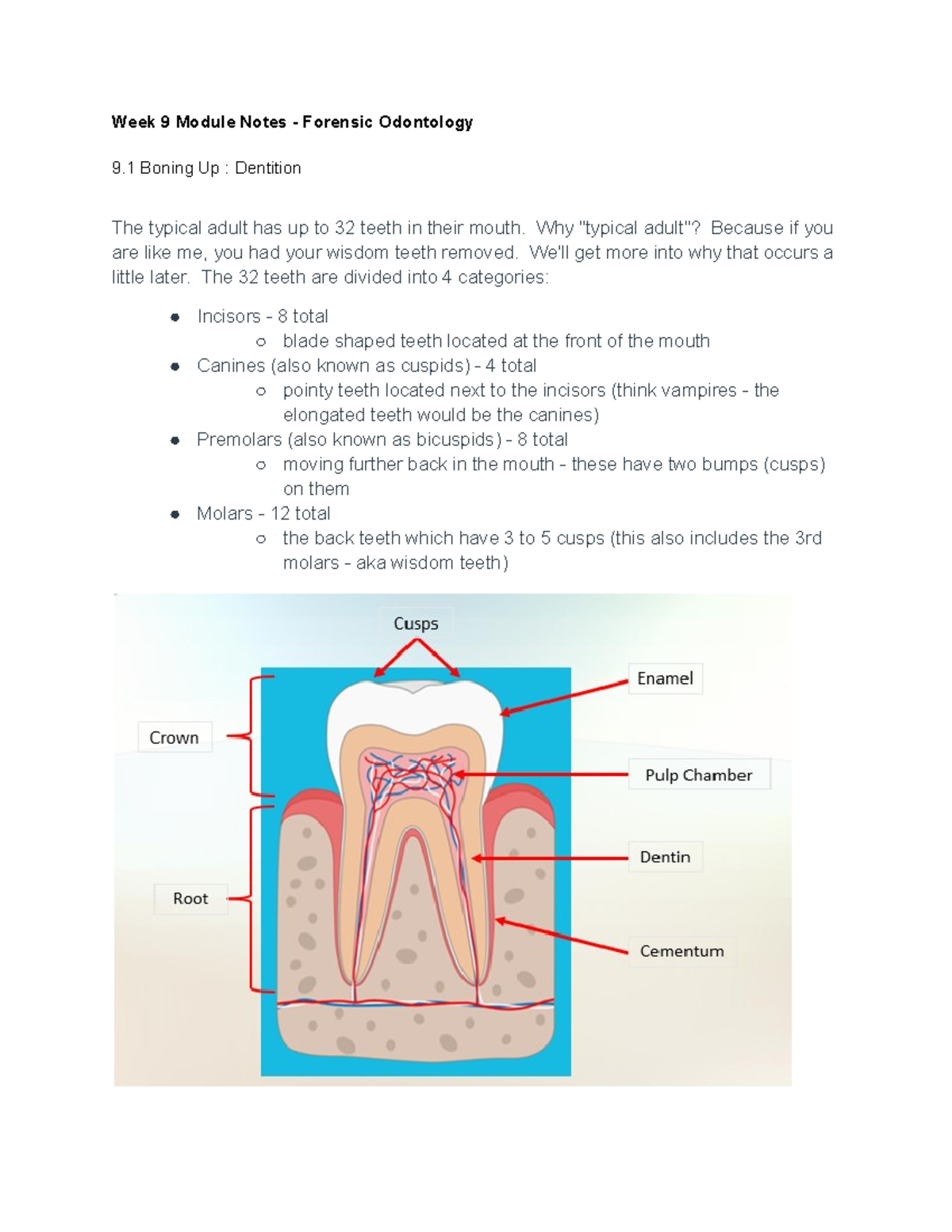 Week 9 Module notes - Forensic Odontology - Google Docs - Week 9 Module ...