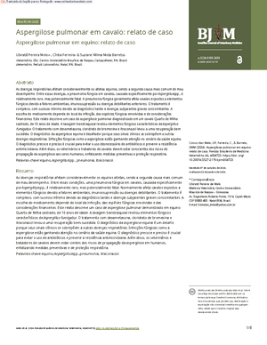 Pokemon ultra violet guide - Welcome to the Official Players Guide for ...