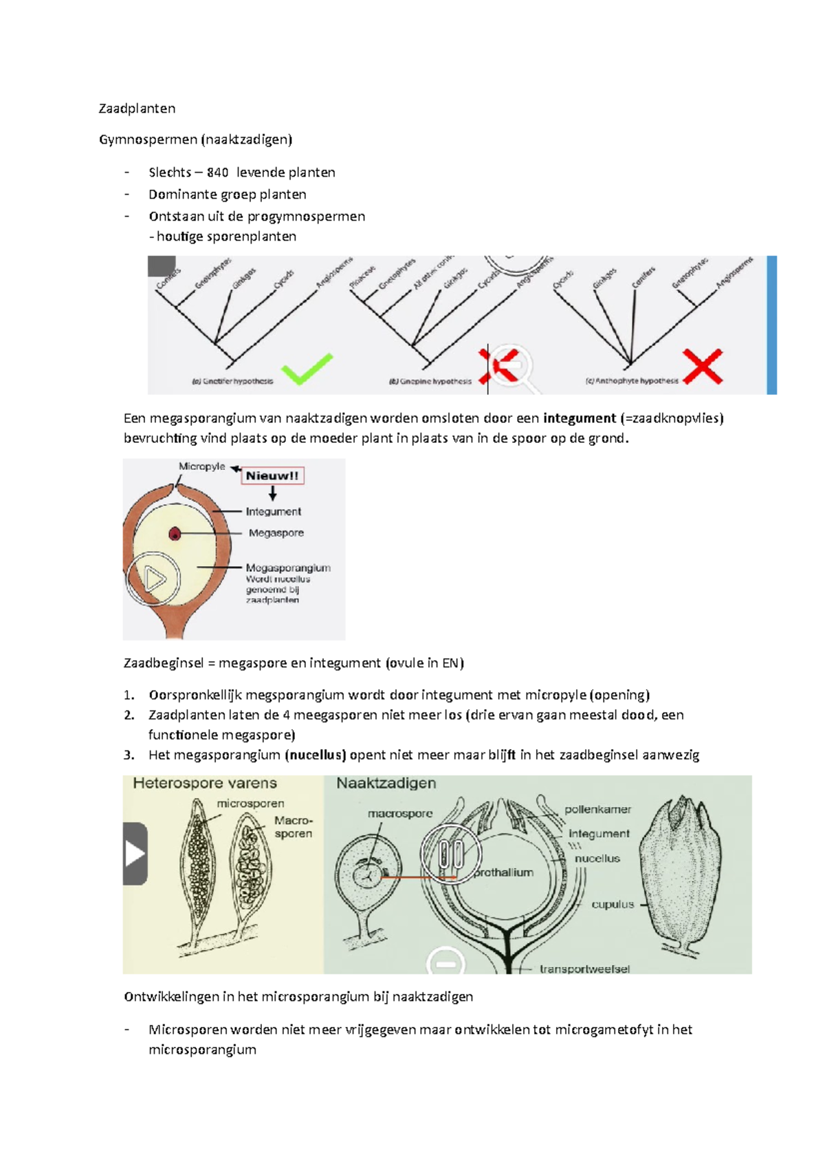 Zaadplanten Lecture 2 Wageningen - Reproduction of Plants - Wageningen ...