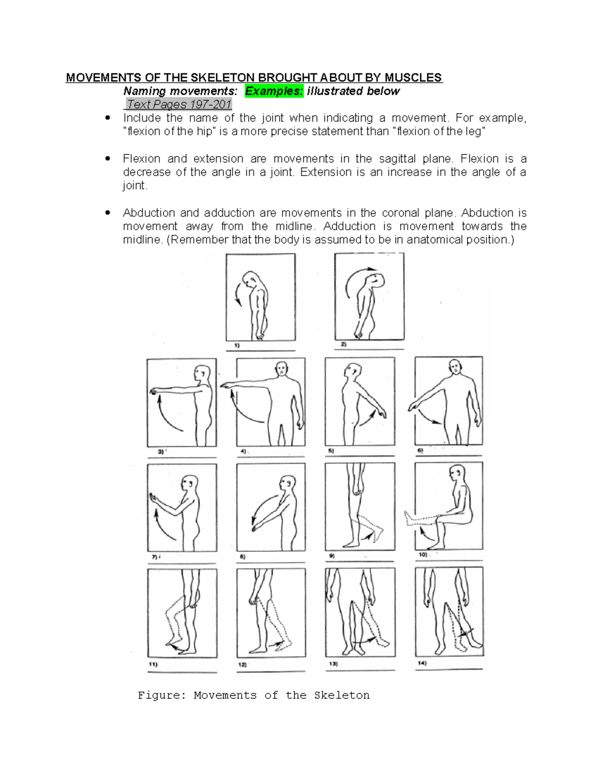 Body Movements-examples - MOVEMENTS OF THE SKELETON BROUGHT ABOUT BY ...