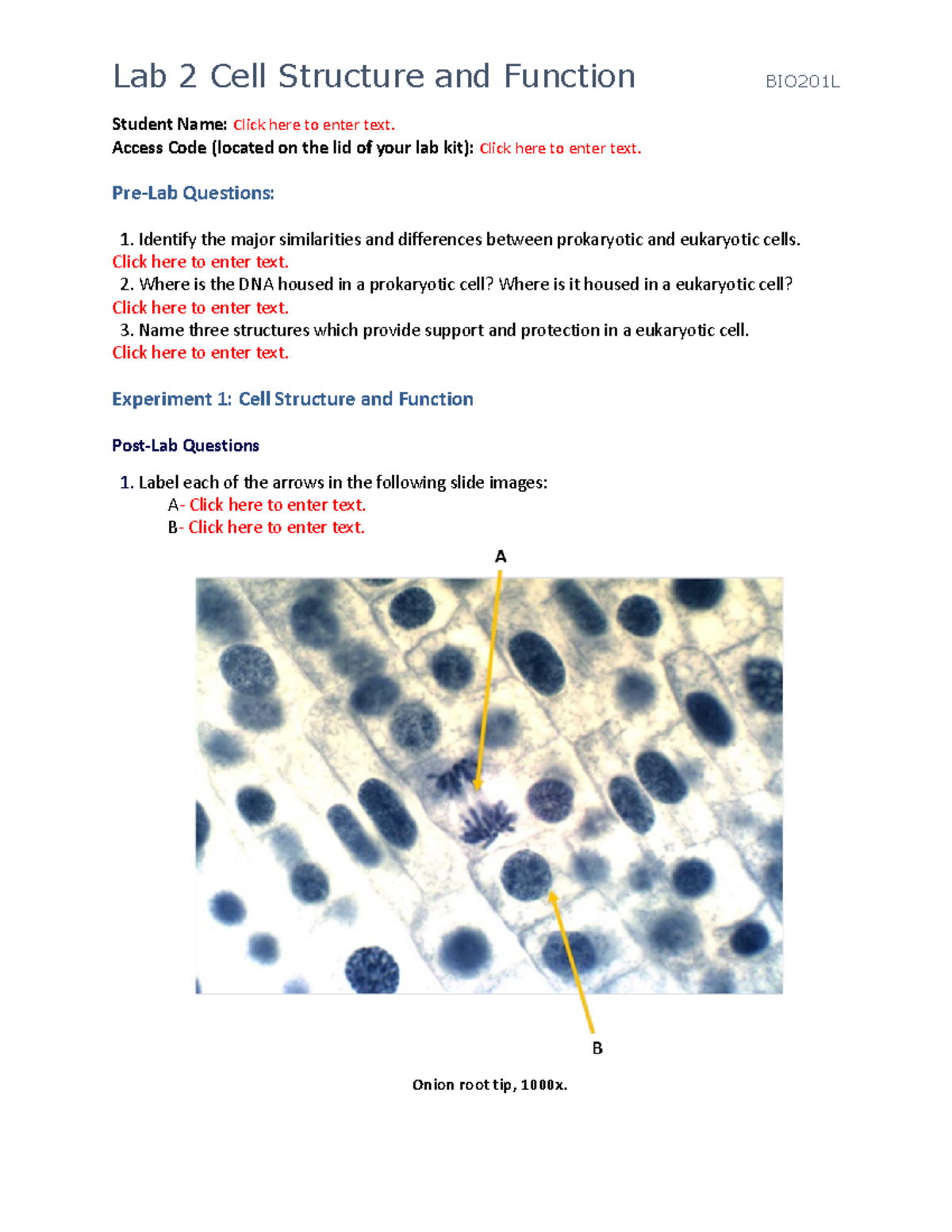 BIO201L+Lab+2+Upload+Document - Student Name: Click here to enter text. Access Code (located on ...