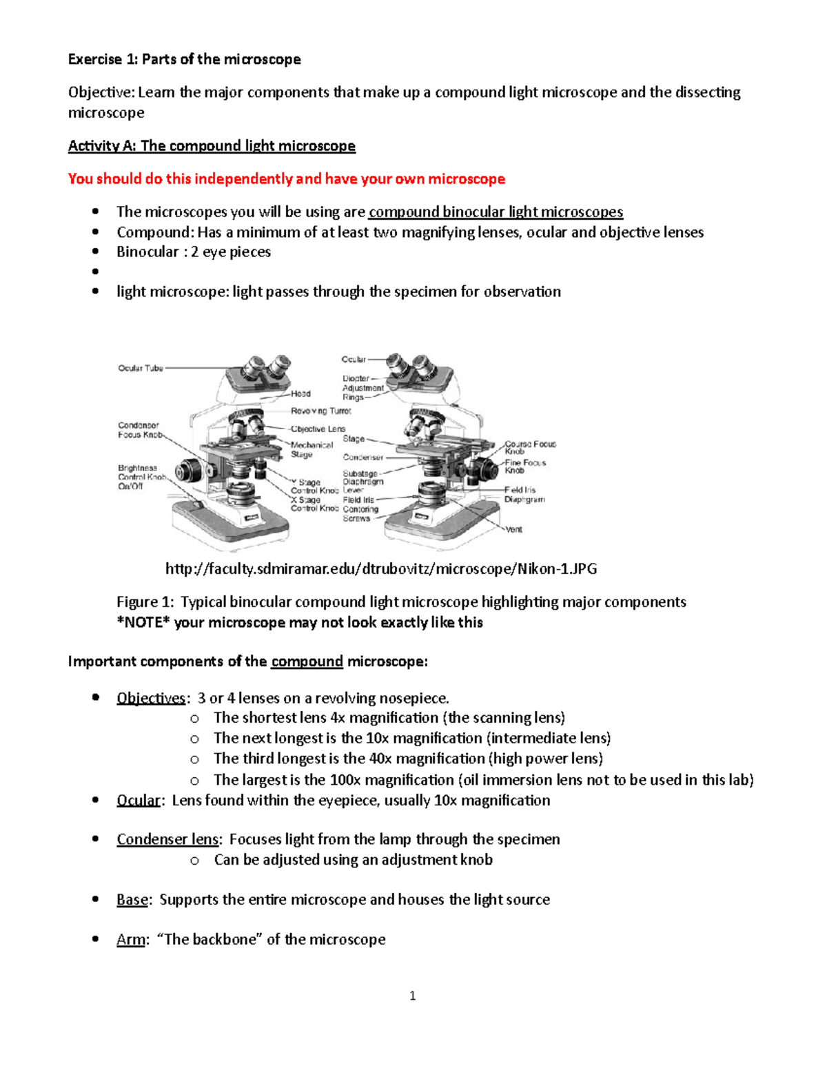Microscopy Worksheet Tes at David Greenfield blog