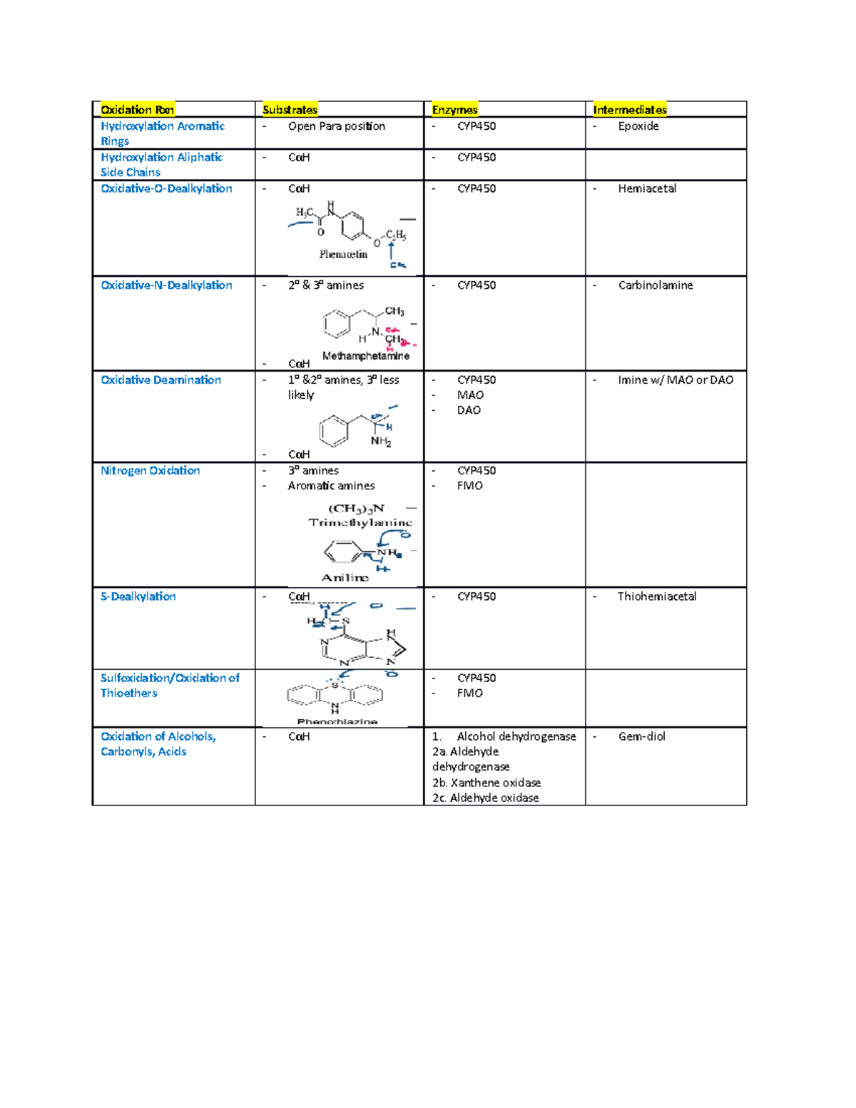 Phase 1 and phase 2 reactions - Oxidation Rxn Substrates Enzymes ...