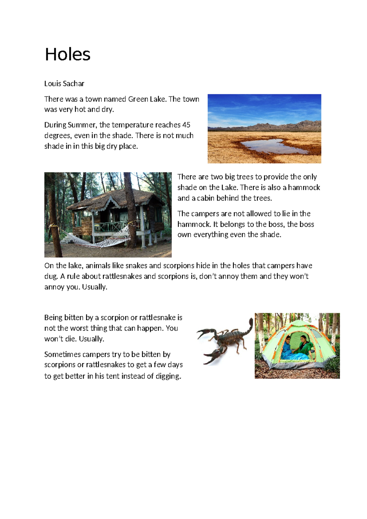 Holes - Tense worksheet - Holes Louis Sachar There was a town named ...