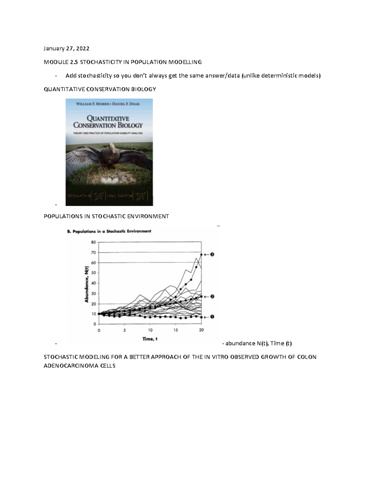 January 27 Stochasticity In Population Modeling Simcel Cell Growth Modeling Age Specific