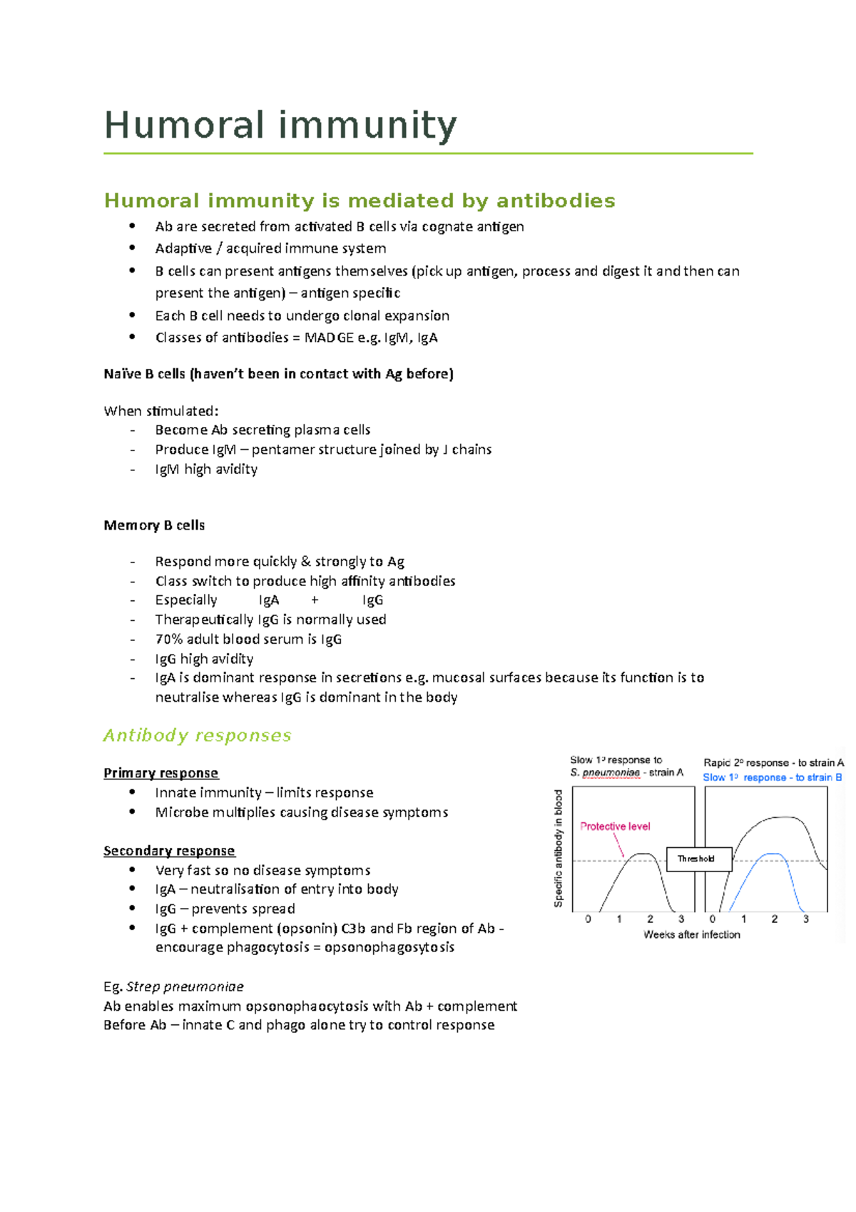 Humoral immunity Notes - UWE - Studocu
