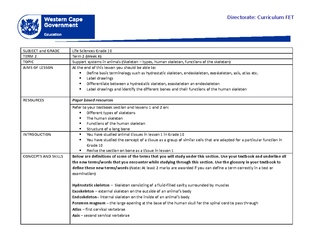 Grade 10 Life Sciences lesson 3 week (Skeleton – types, human skeleton ...