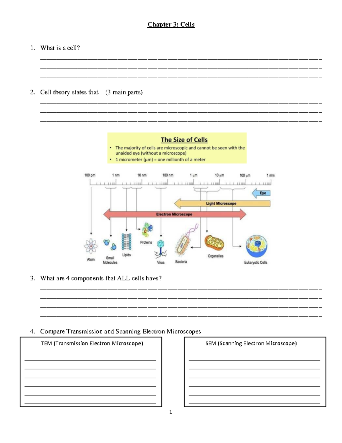 Chapter-3 Guided-Notes - Chapter 3: Cells What is a cell? Cell theory ...