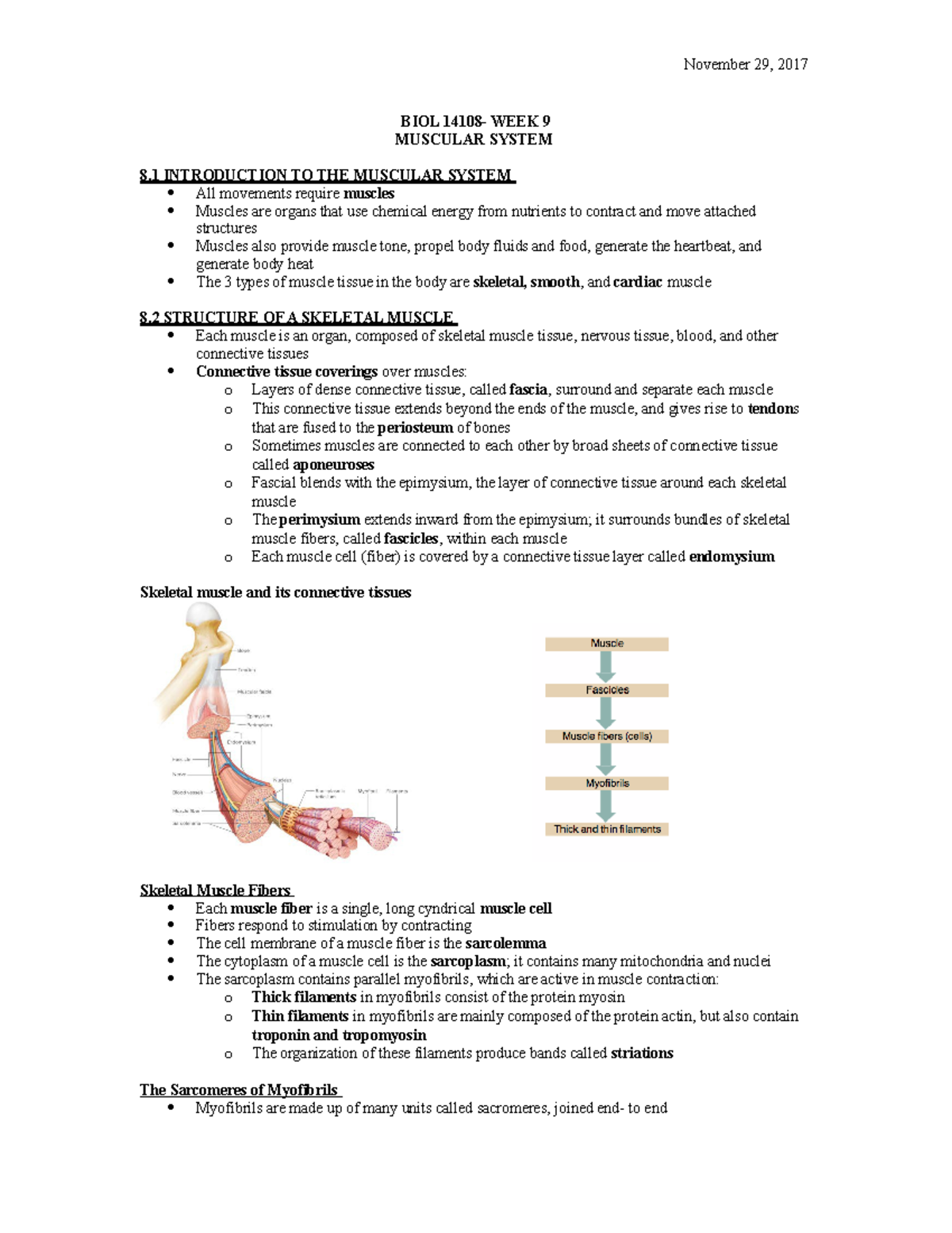 BIOL14108- WEEK 9 - Lecture notes 9 - BIOL 14108- WEEK 9 MUSCULAR ...
