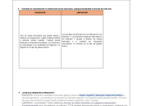 Sistema inmune en la salud y enfermedad - Inmunización y cáncer La ...