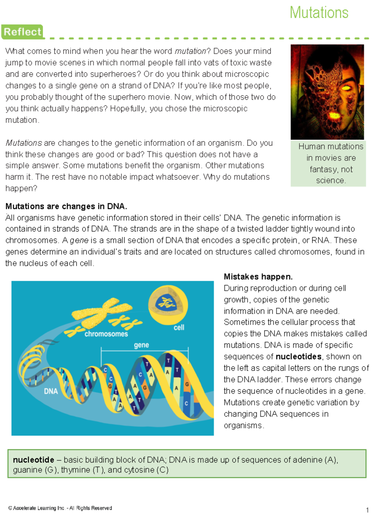 NGSS MSLS Mutations Explain Stemscopedia - What comes to mind when you ...