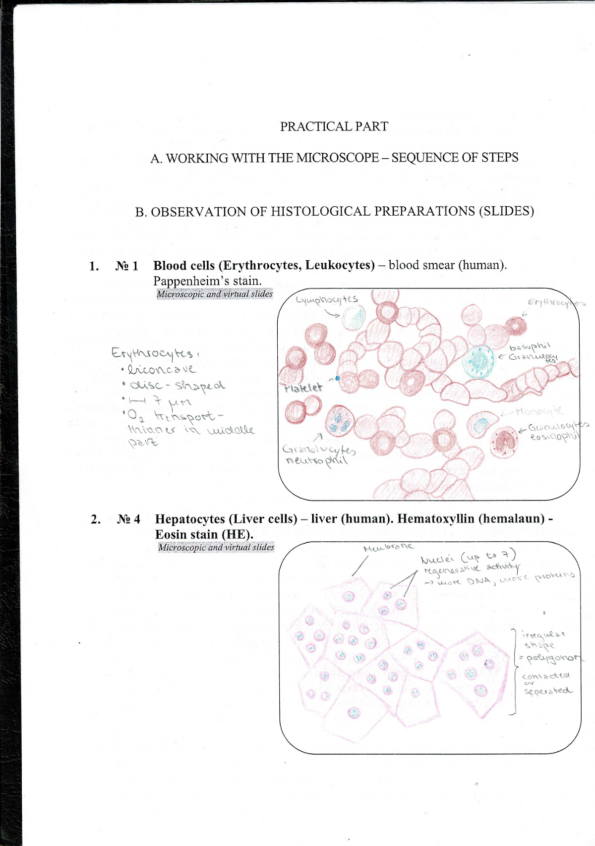 Cytology Workbook - Cytology, General Histology and Human Embryology ...