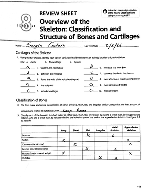 Anat discussion 9 - In this week’s episode of “Anatomy of a Mystery ...