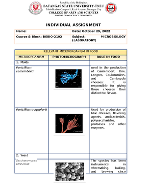 Genbio 1 MOD7 mitosisandmeiosis forfinalcheck - SENIOR HIGH SCHOOL ...