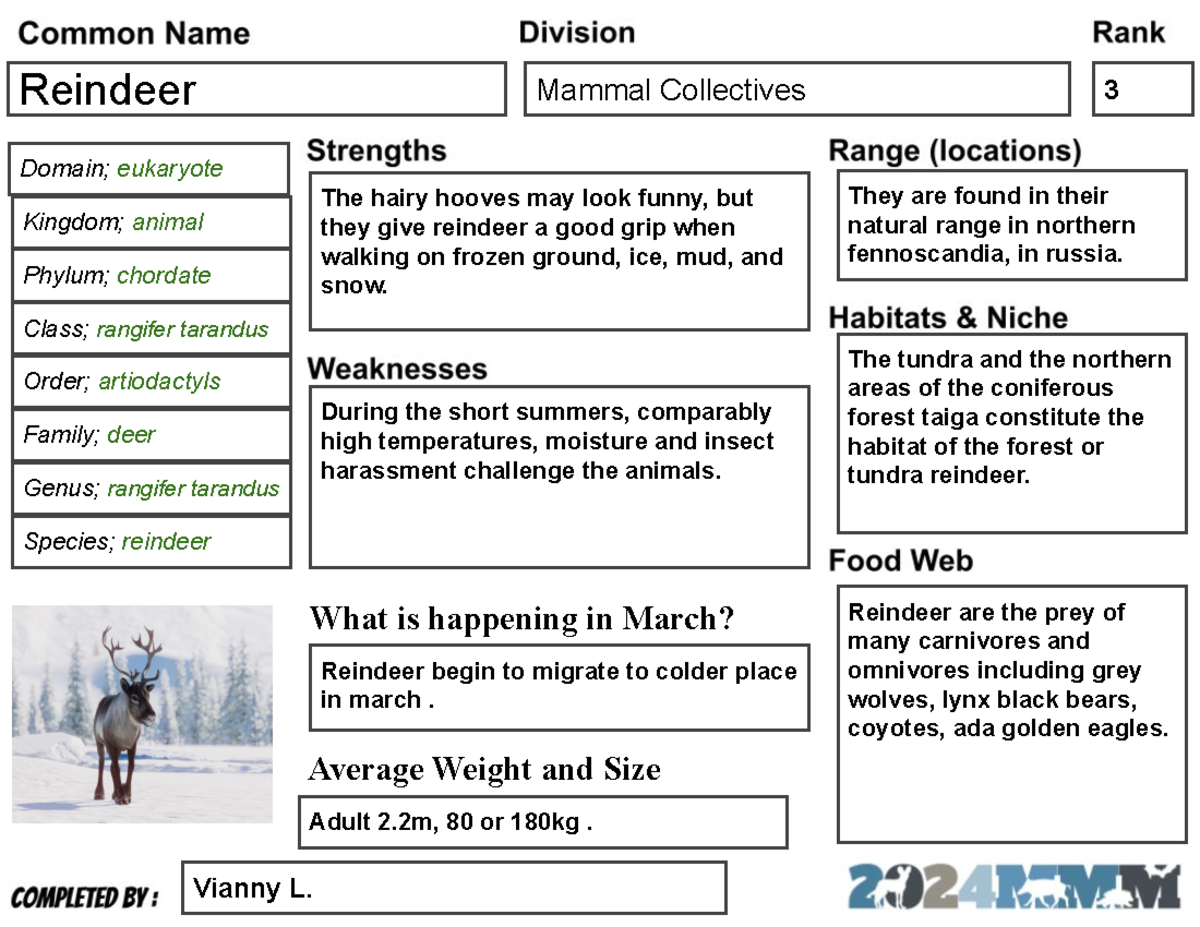 Copy of MMM2024 Scouting Report Student Shared - Domain; eukaryote ...