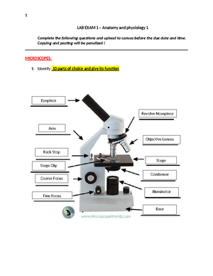 AP - Lab Ex. 02 Review sheet chapter 2 Organ systems overview - BIO 111 ...