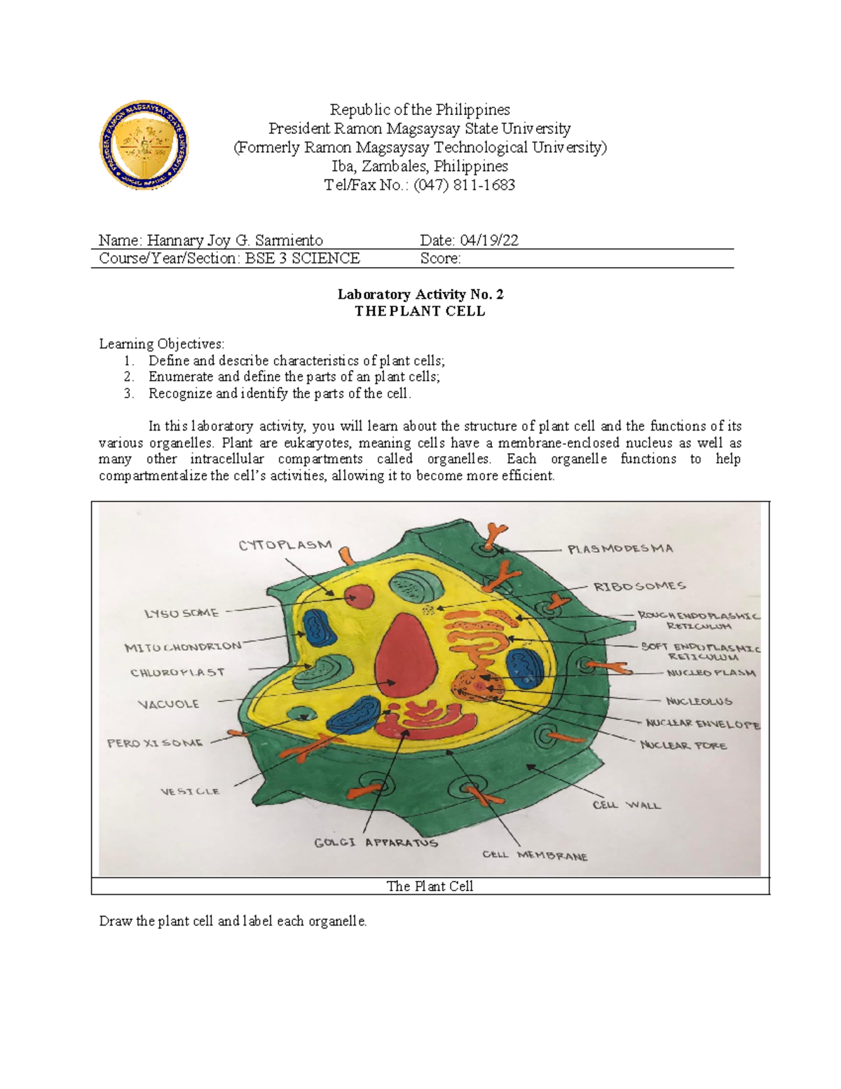 Lab. Act. 2 - Plant Cell - Sarmiento, Hannary Joy - BSE 3 Science ...