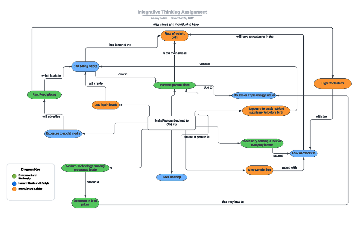 Integrative Thinking Assignment - Integrative Thinking Assignment ainsley collins | November 24 ...