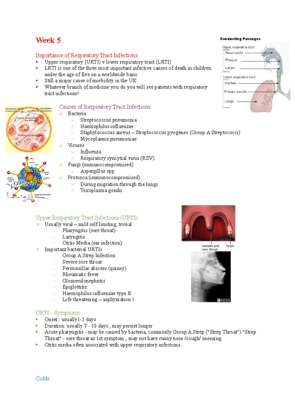 BMD231 - Week 5 Importance of Respiratory Tract Infections Upper ...