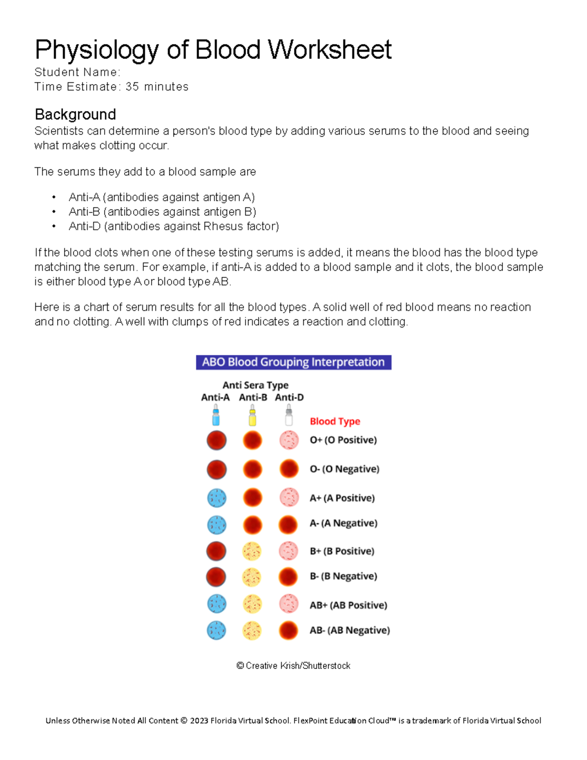 Physiology of the blood assignment and worksheet - Physiology of Blood ...