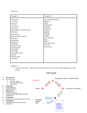 Unit 4 - unit 4 ap bio practice guide - Study all of your lecture notes ...