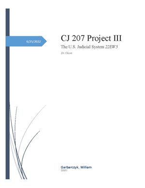 4-2 Project, The court system - CJ 207 Project One Template Complete ...