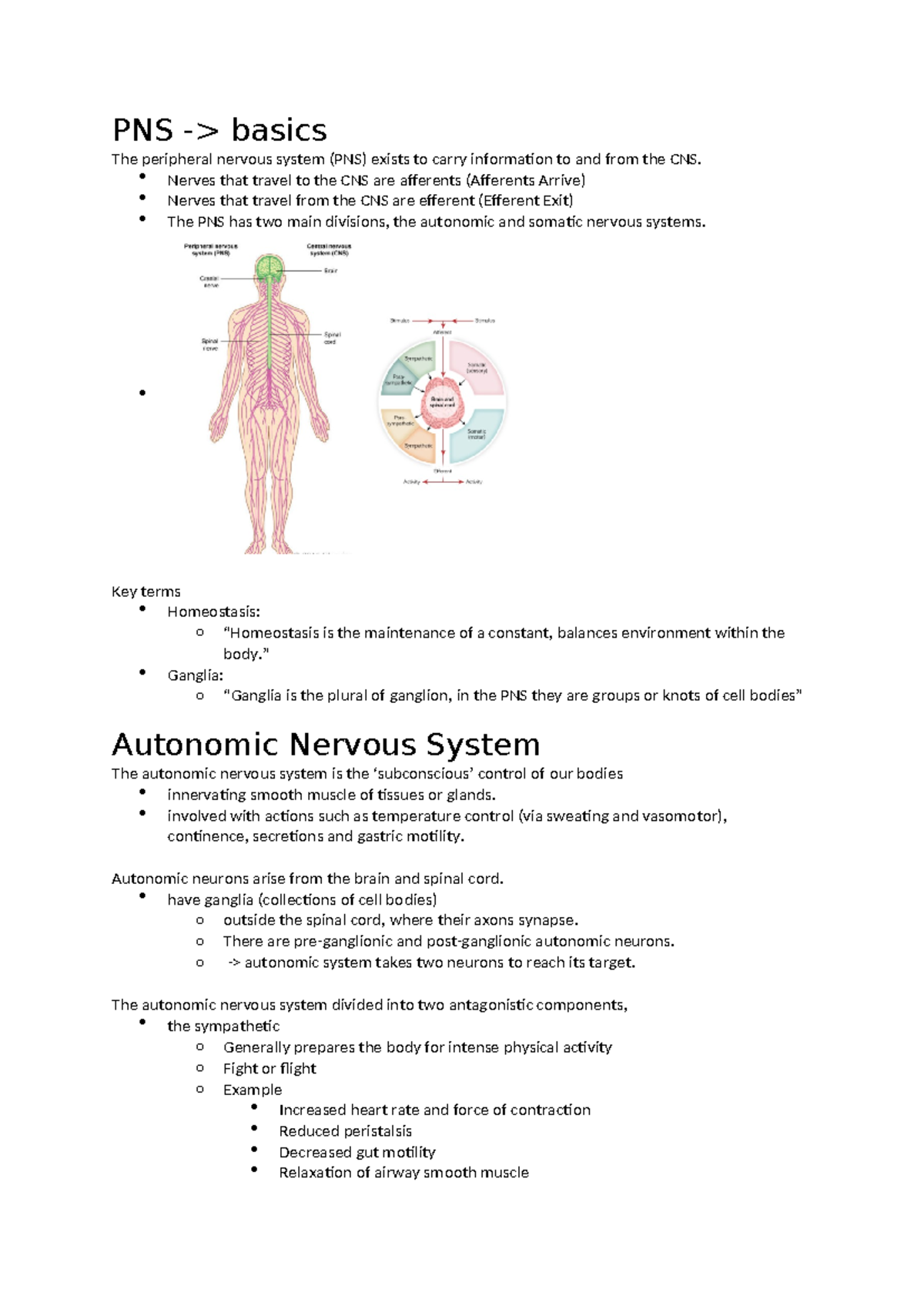 Nervous system - PNS - PNS -> basics The peripheral nervous system (PNS ...