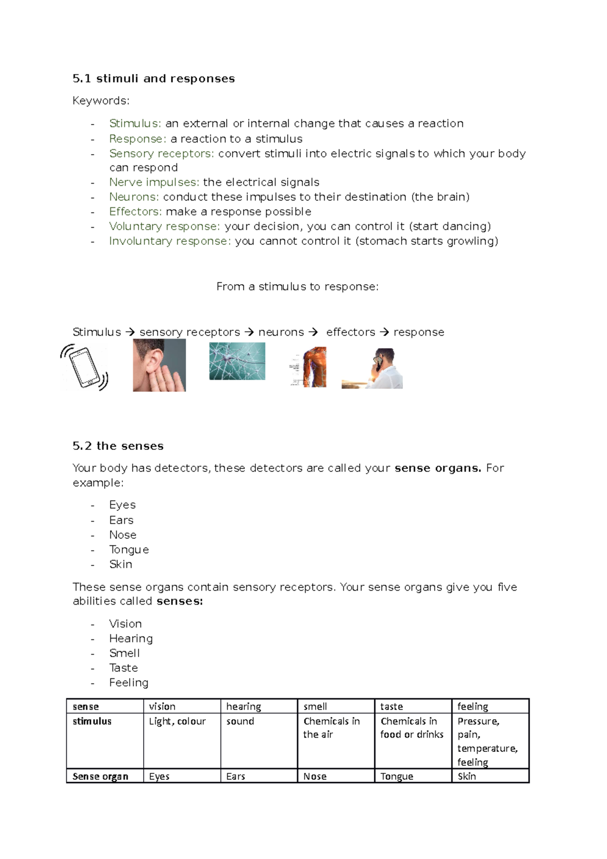 Biology 1VWO TTO summary chapter 5 - 5 stimuli and responses Keywords ...