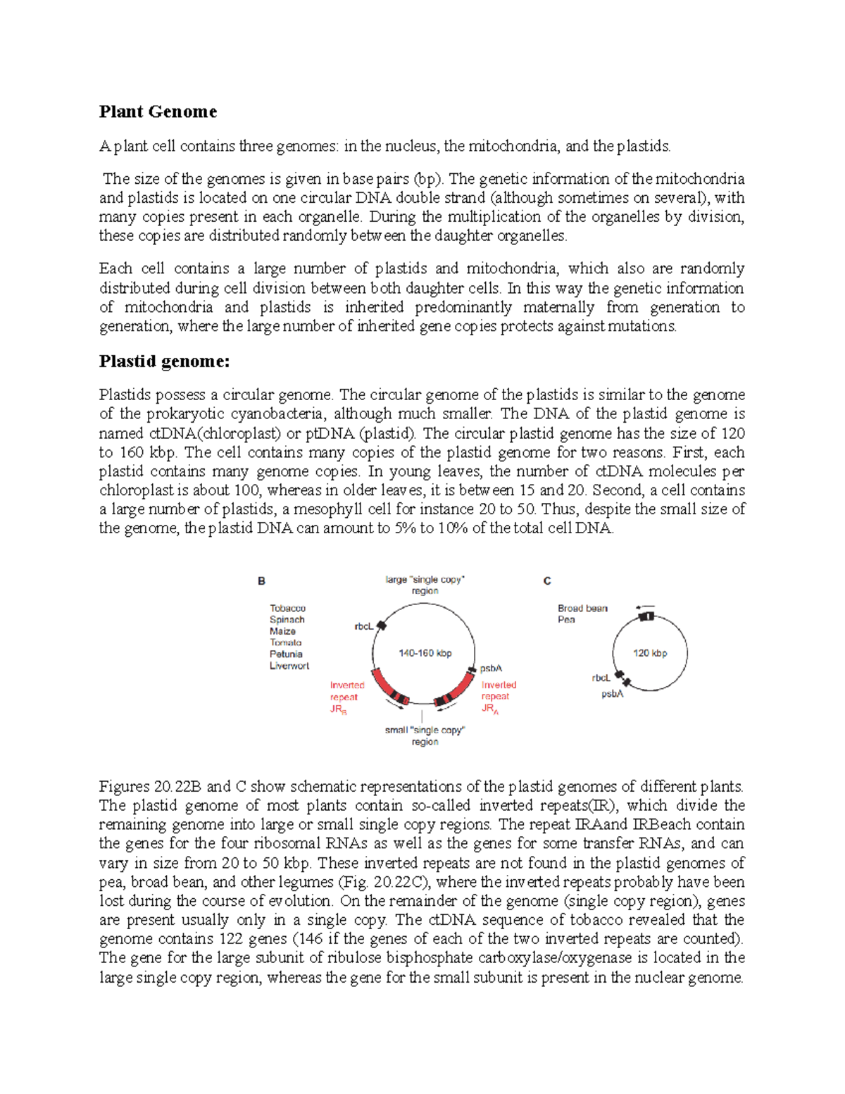 Plant genome - notes - Plant Genome A plant cell contains three genomes ...