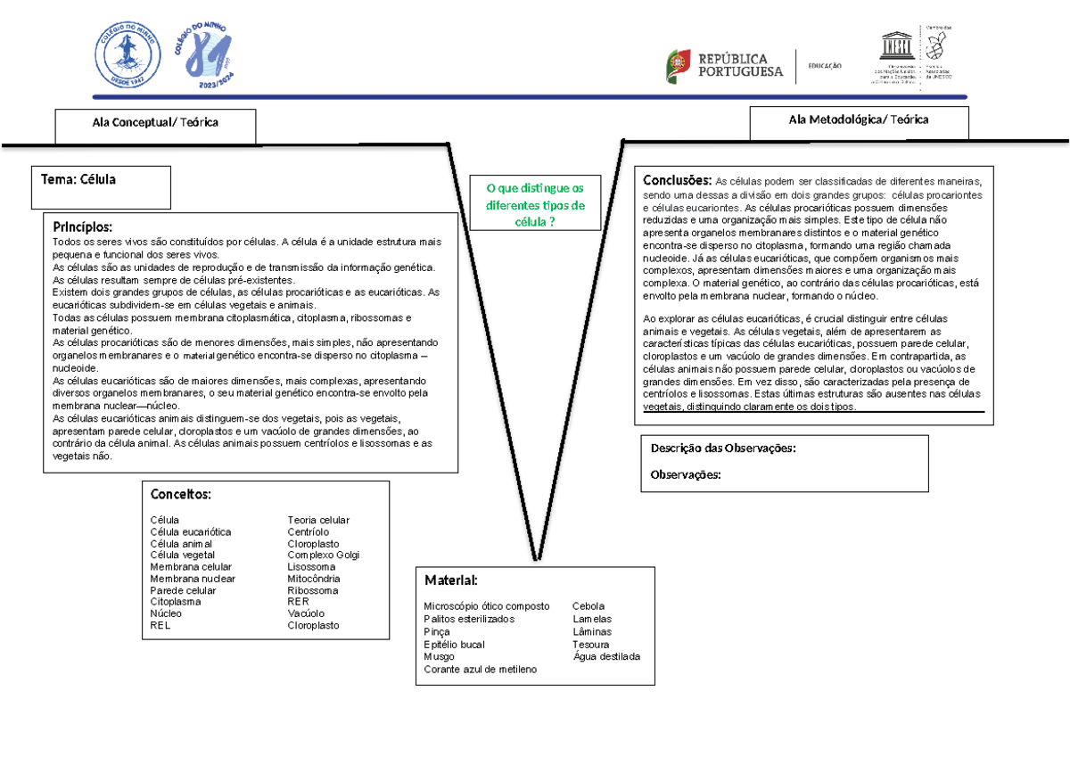 Modelo V Gowin branco - hhhhhhhhhhhhhhhhhh - Ala Metodológica/ Teórica ...