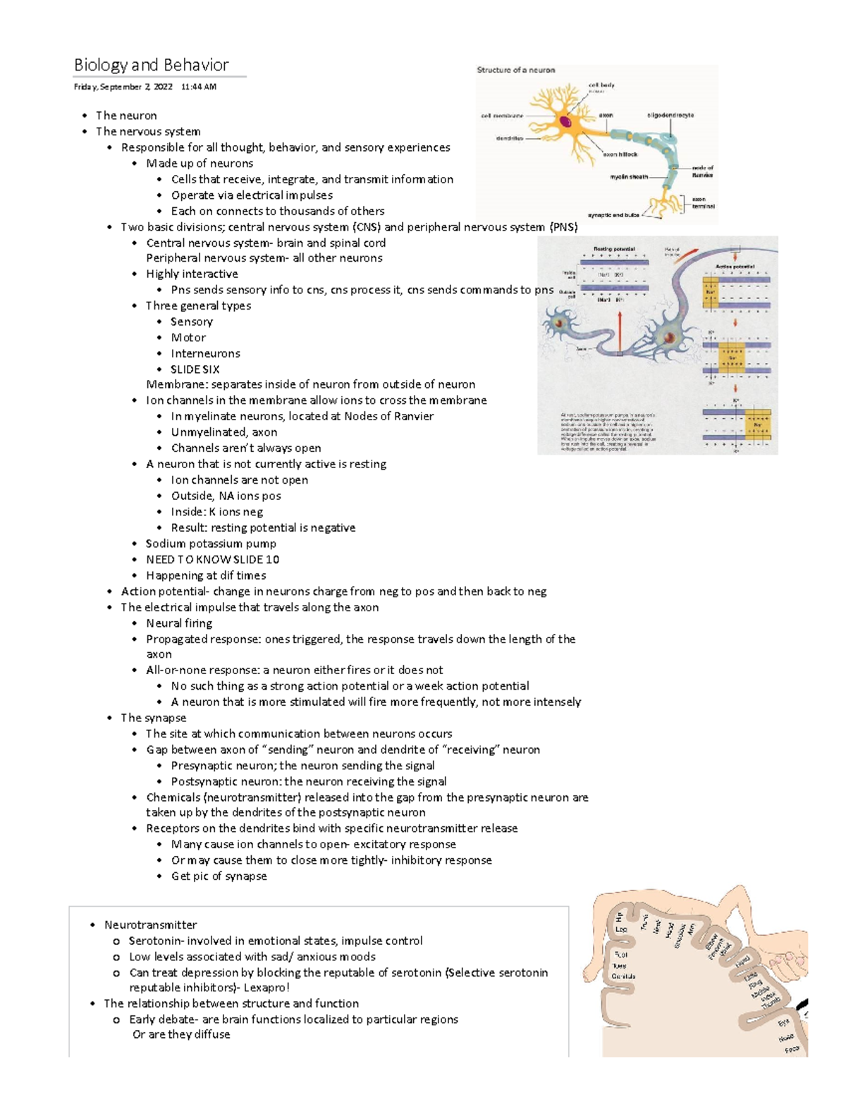 Psychology Biology and Behavior - Biology and Behavior Friday ...