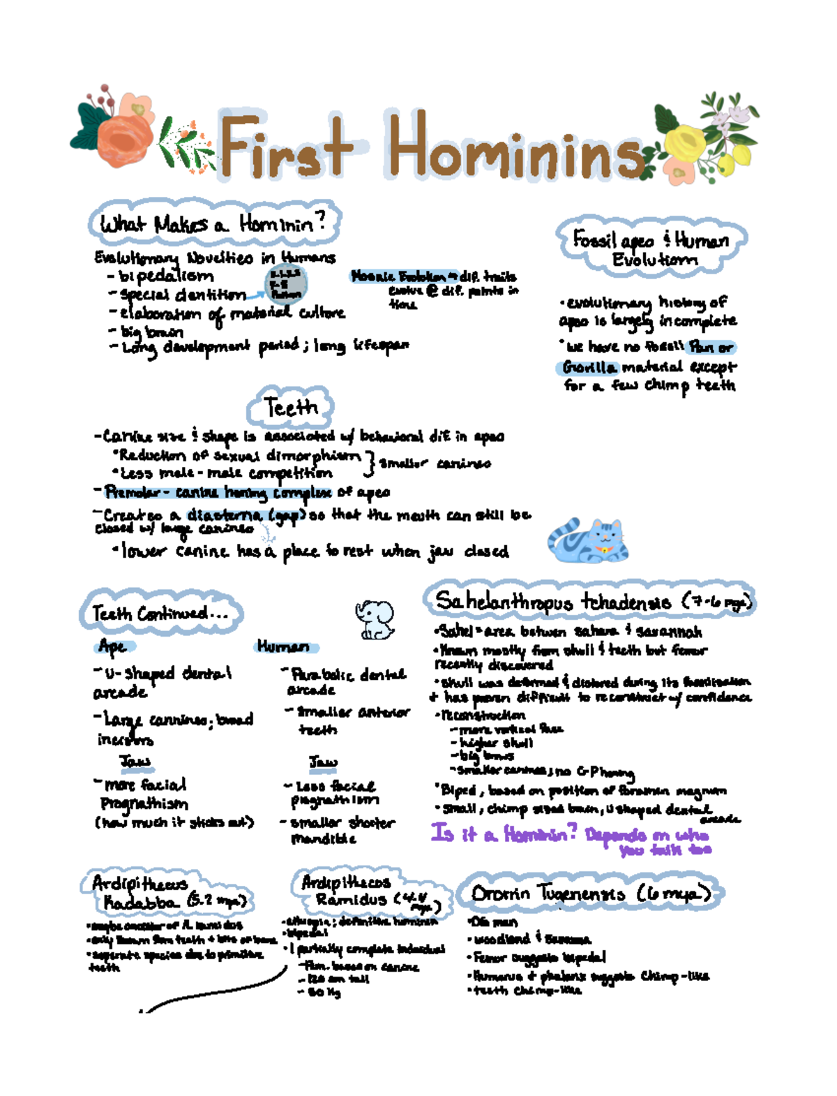 First Hominins - ins g whatmakesahominint FossilapestHumannd ...