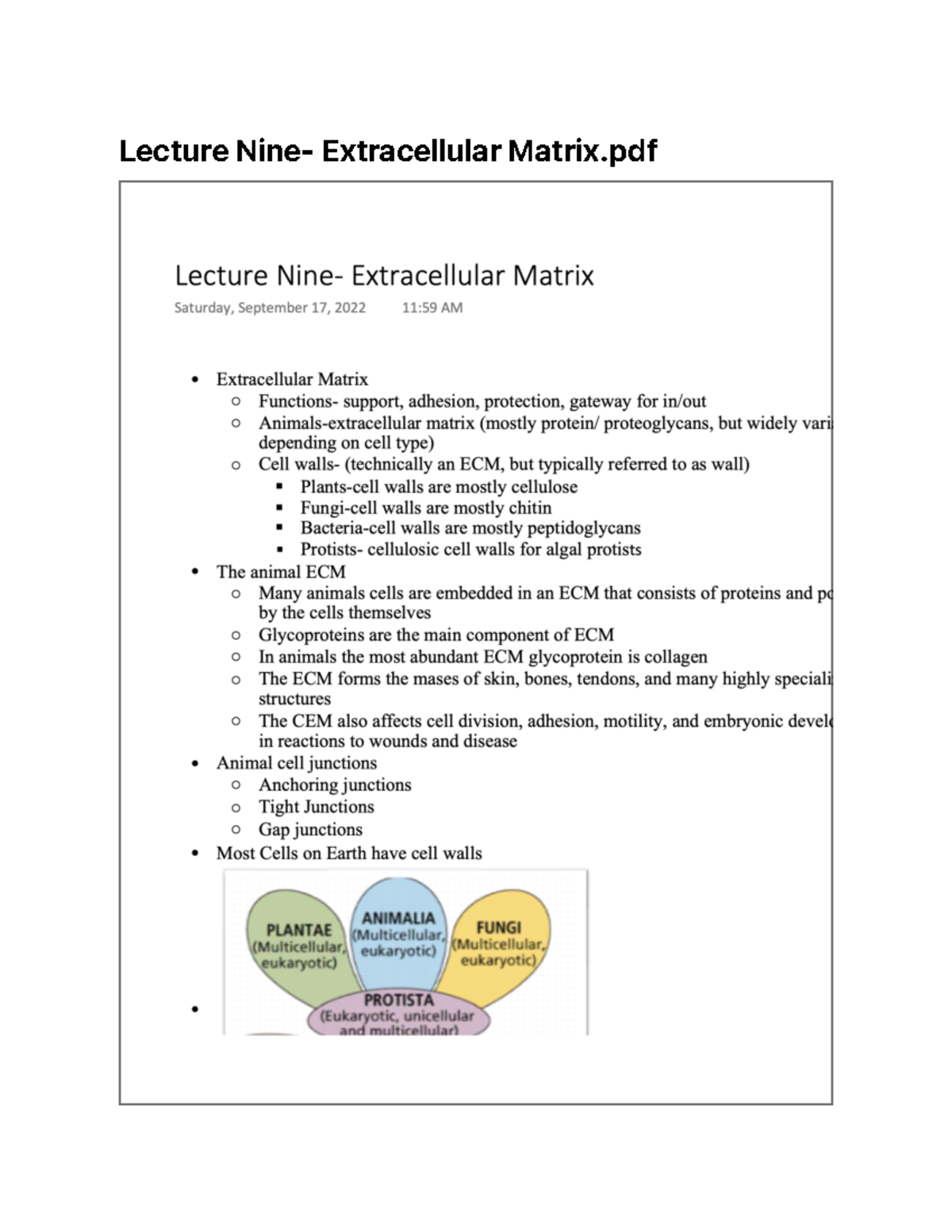 Lecture Nine- Extracellular Matrix - Studocu