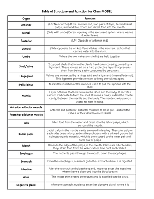 Model Earthworm Model Structure and Function table - Structure Function ...