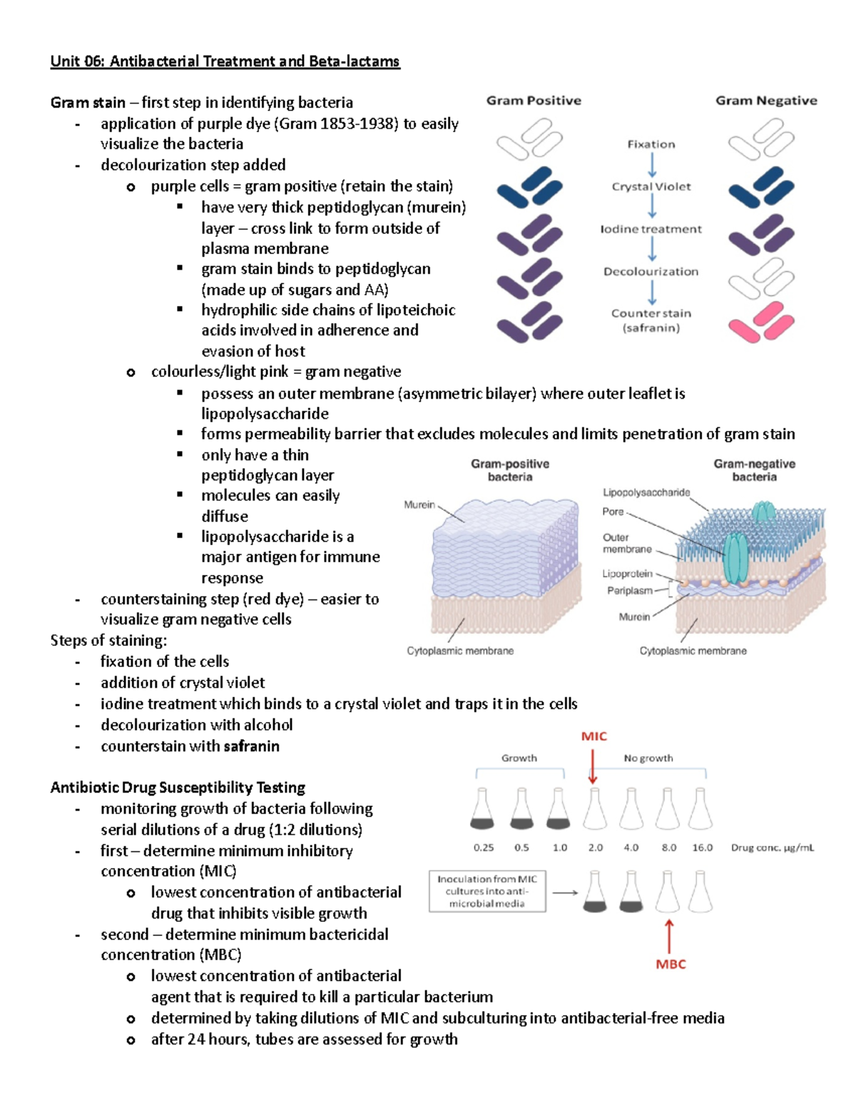 BIOM 4090 Final Notes - Unit 06: Antibacterial Treatment and Beta ...